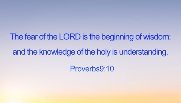 15 Bible Verses About Wisdom: Wisdom Comes From God