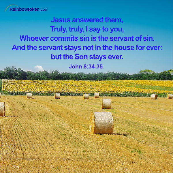 Bible Verses About Life You Should Know Bible Verses About Life You Should Know
