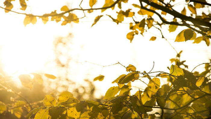 The “Knot” in My Heart Was Finally Untied - In Search of Truth