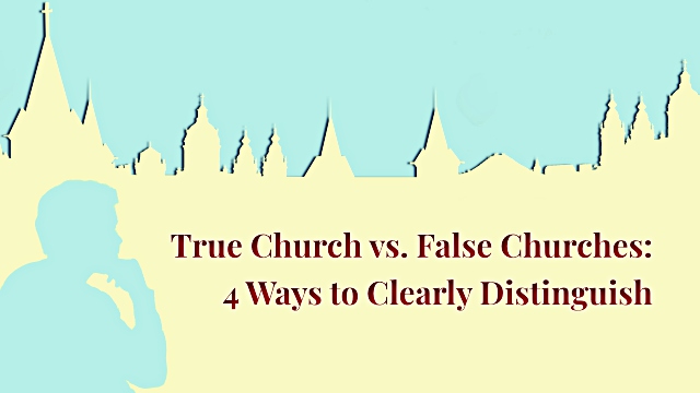 Bible Verses About How to Distinguish True and False Prophets