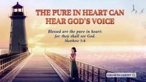 Bible Verses About Honesty: God Likes Honest People