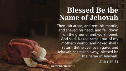 15 Bible Verses About Looking Up to God